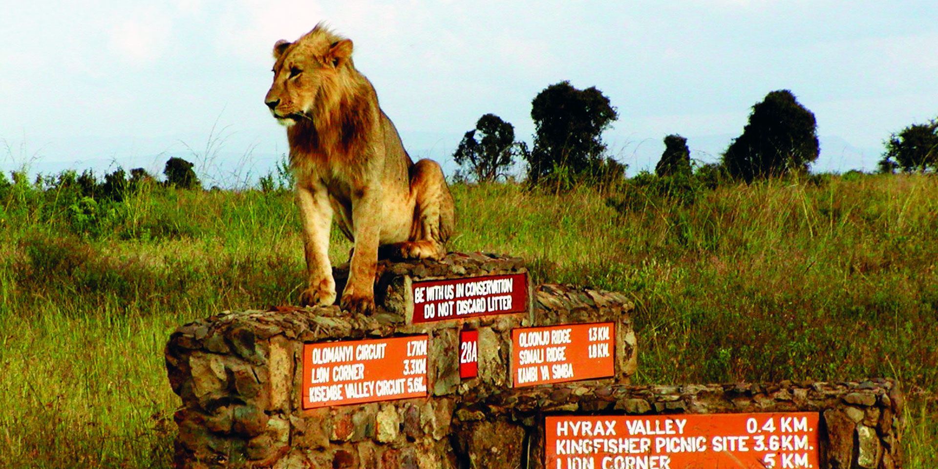 Nairobi National Park Tour Packages and Experiences - Nairobi National Park