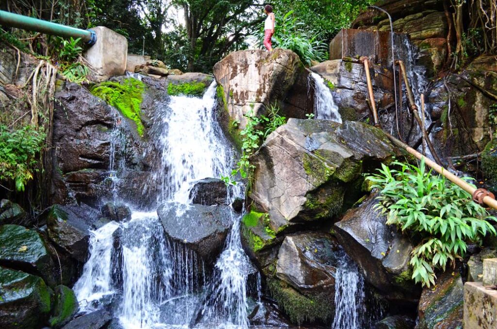 Oloolua Nature Trail – Complete Guide to Nairobi’s Hidden Forest Escape ...